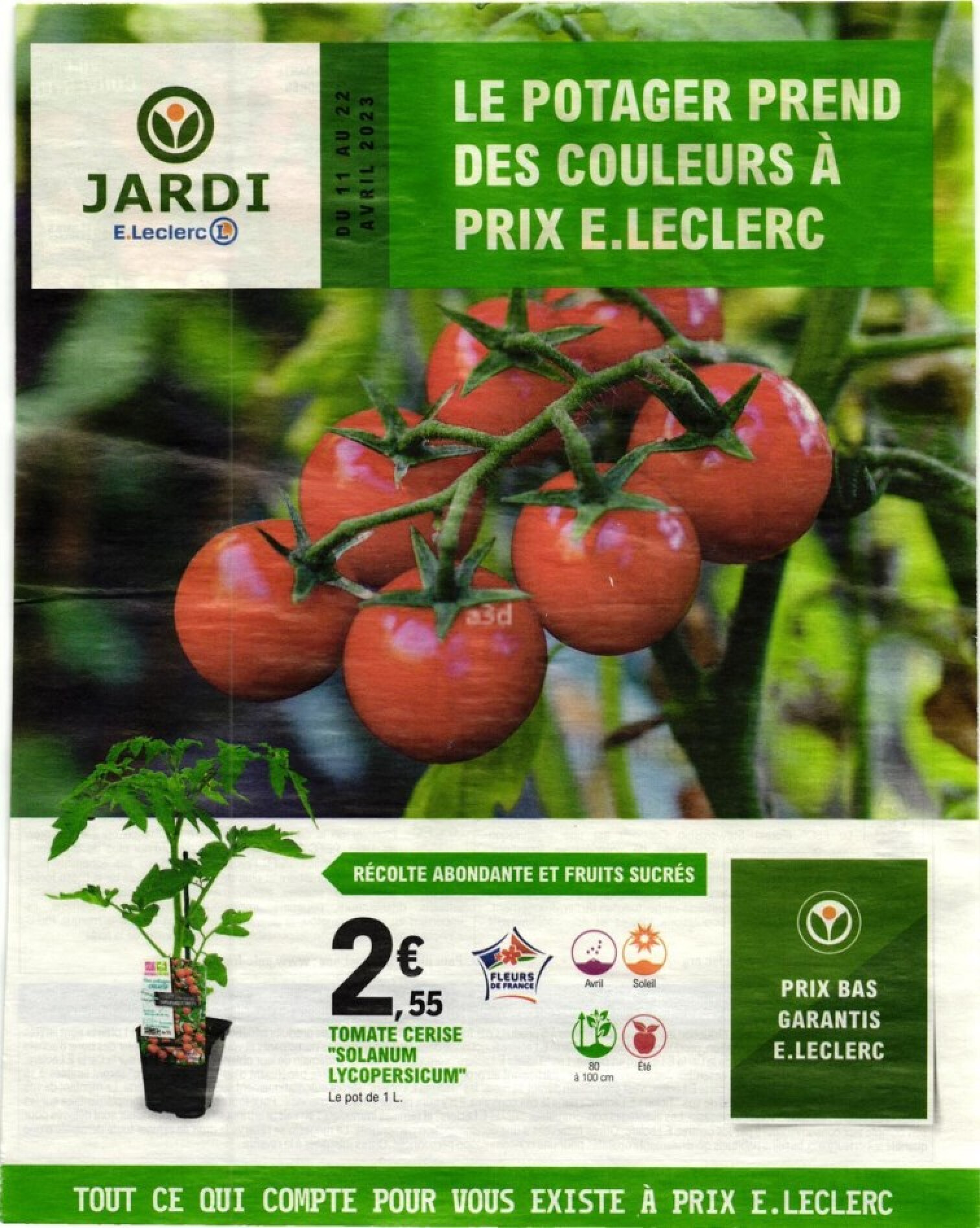 JARDI LECLERC - Le potager prend des couleurs a prix e. leclerc