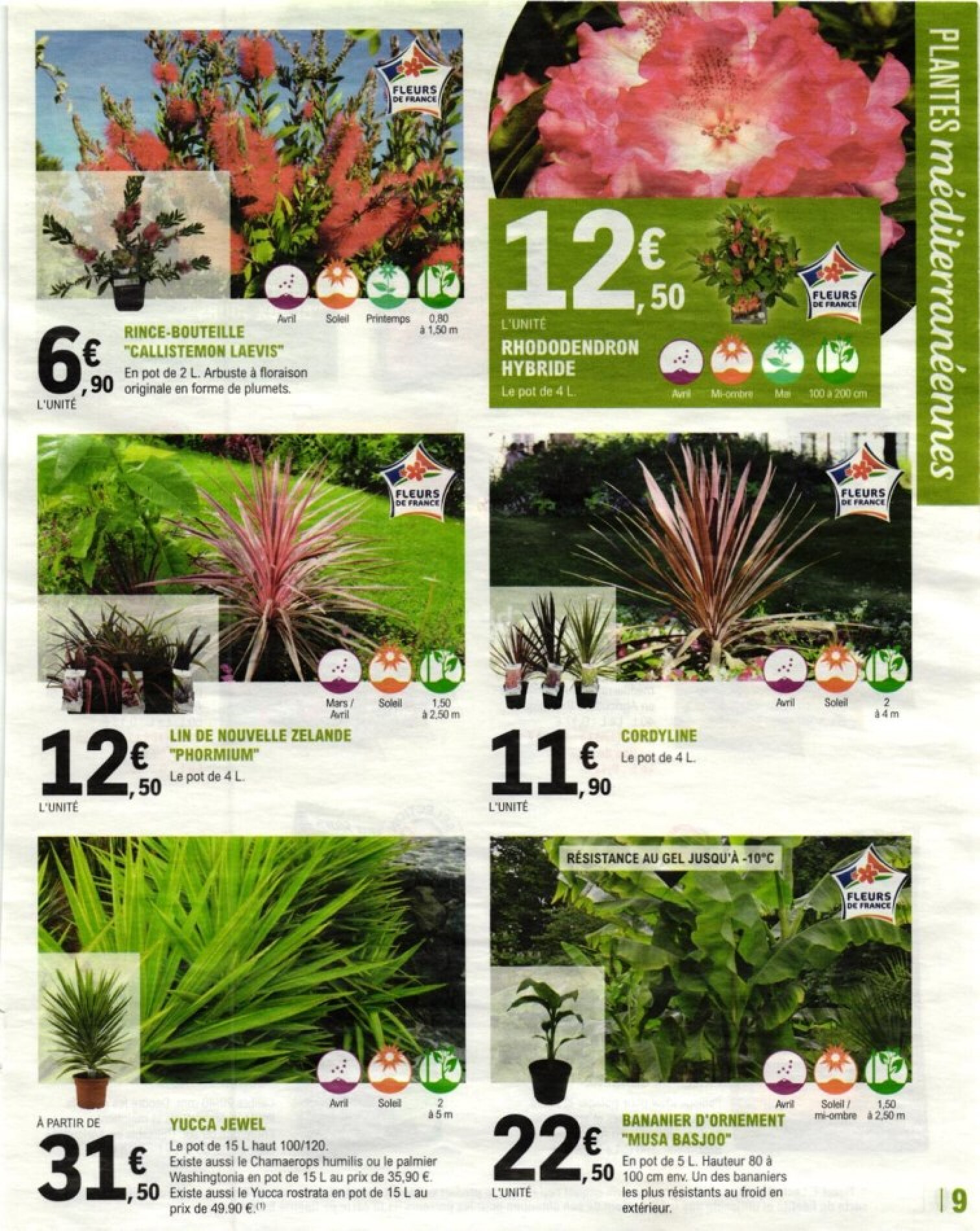 JARDI LECLERC - Le potager prend des couleurs a prix e. leclerc